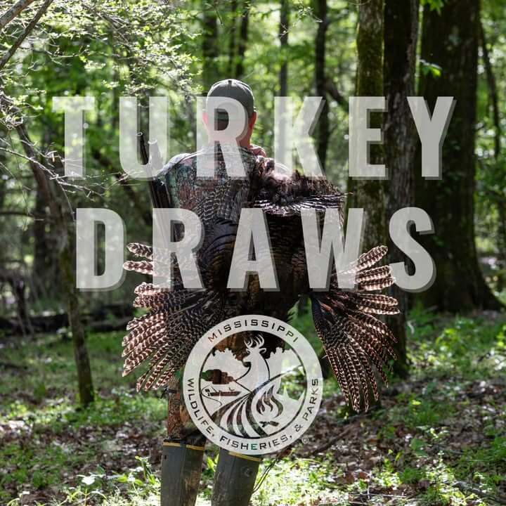 Mississippi opens applications for 2026 Spring Turkey Draw Hunts ...