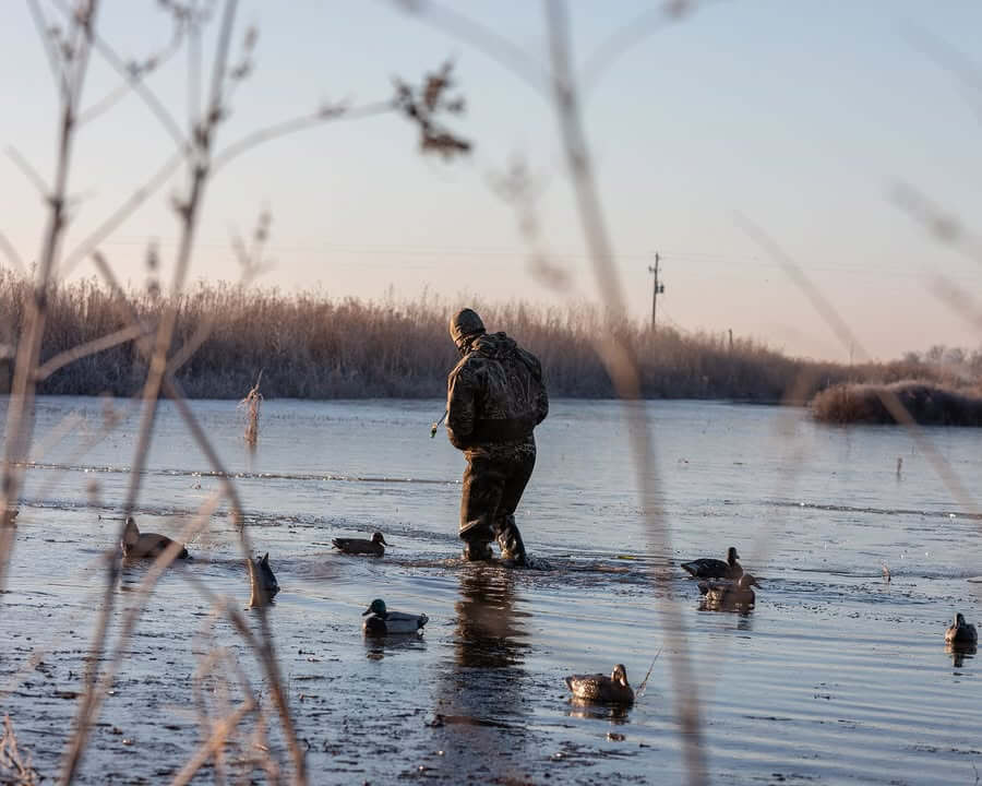 Mississippi duck season ends with safety reminders and habitat ...